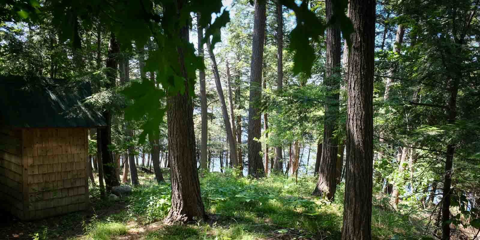 1 Little Silver Lake – A retreat and rental cottage near Perth, Ontario